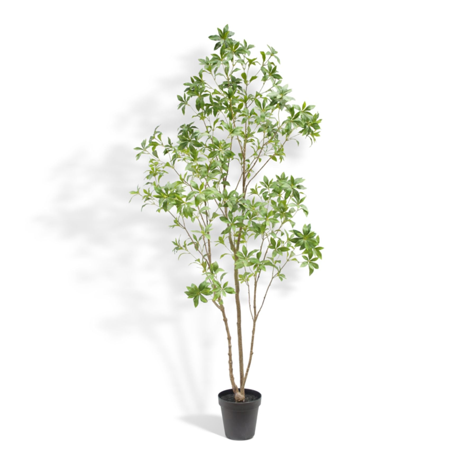 84" Artificial Laurel Tree | CG Hunter | ONE AFFIRMATION
