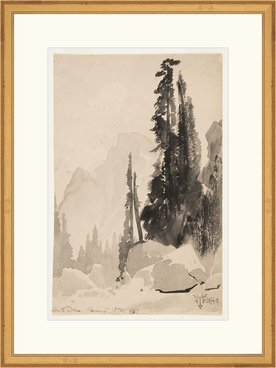 Antique Trees Drawing – ONE AFFIRMATION