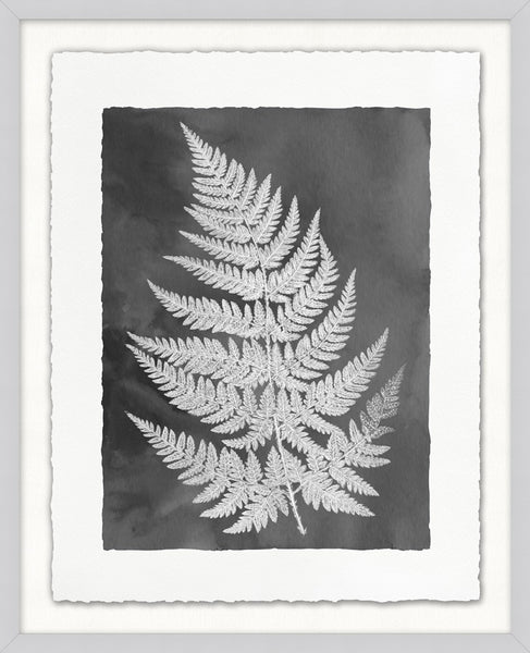 Fern Inspiration Grey 3 – ONE AFFIRMATION
